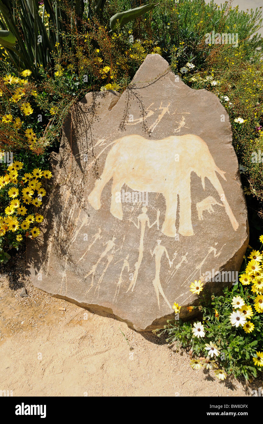 African Rock Art a rock engraving from the Northern Cape in South ...