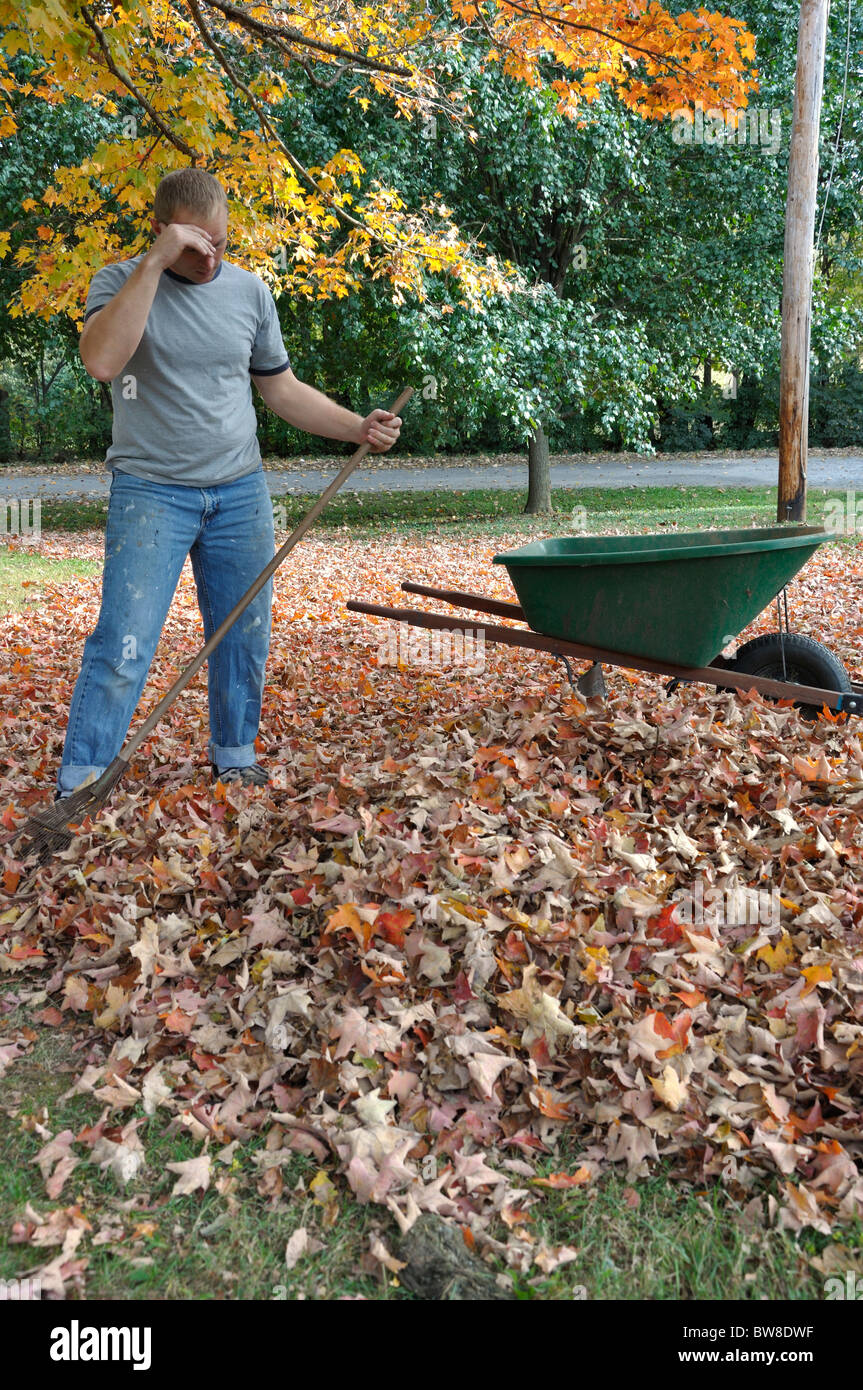 So many leaves, yard work can be frustrating Stock Photo - Alamy