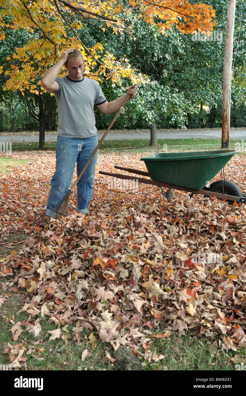 There are just to many Stock Photo - Alamy