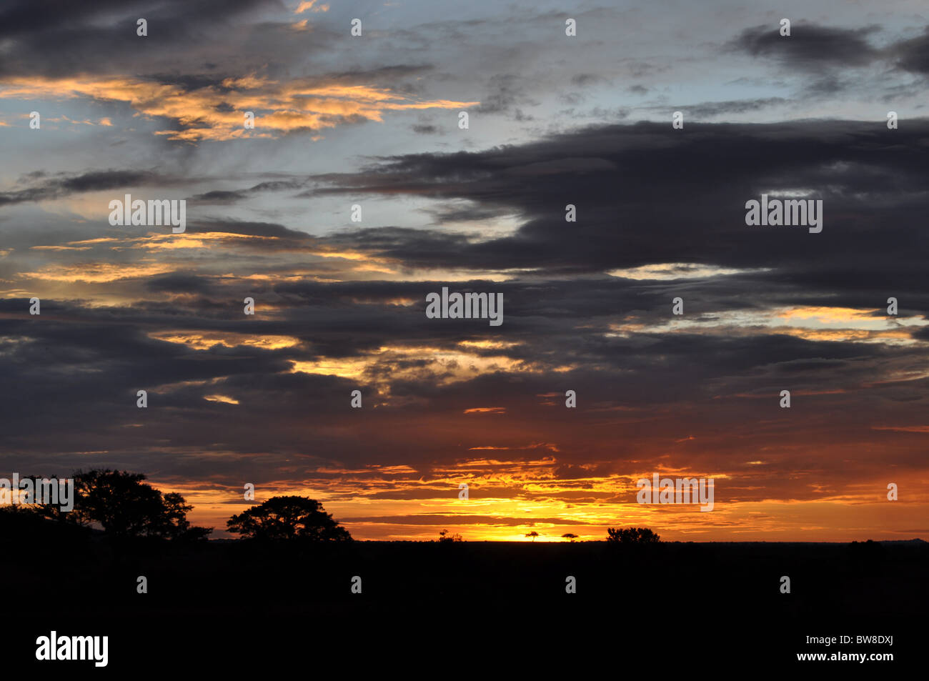 Kenyan horizon hi-res stock photography and images - Alamy