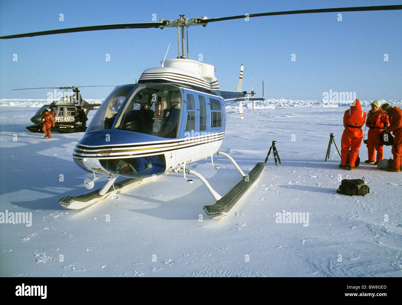 Helicopter on ice at Harp Seal colony, Magdalen Islands, Quebec Stock ...