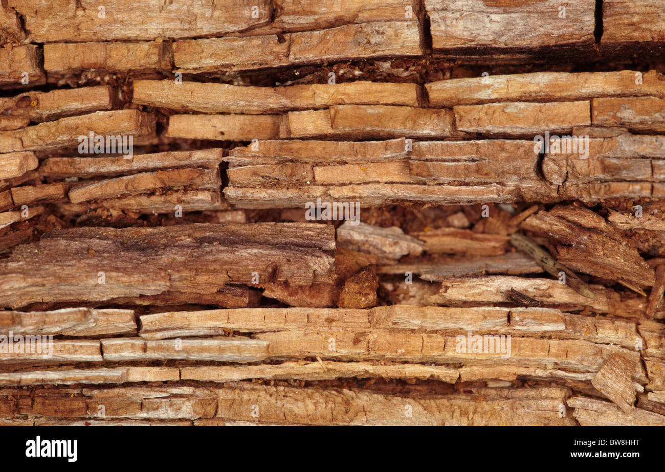 The rotten brown wooden cracked old background Stock Photo - Alamy