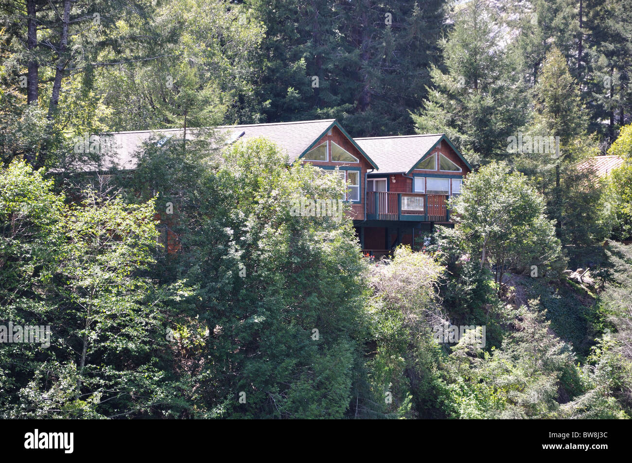 Redwood national forest house hi-res stock photography and images - Alamy