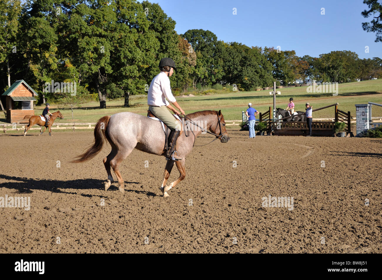 Equestrian competition hi-res stock photography and images - Alamy