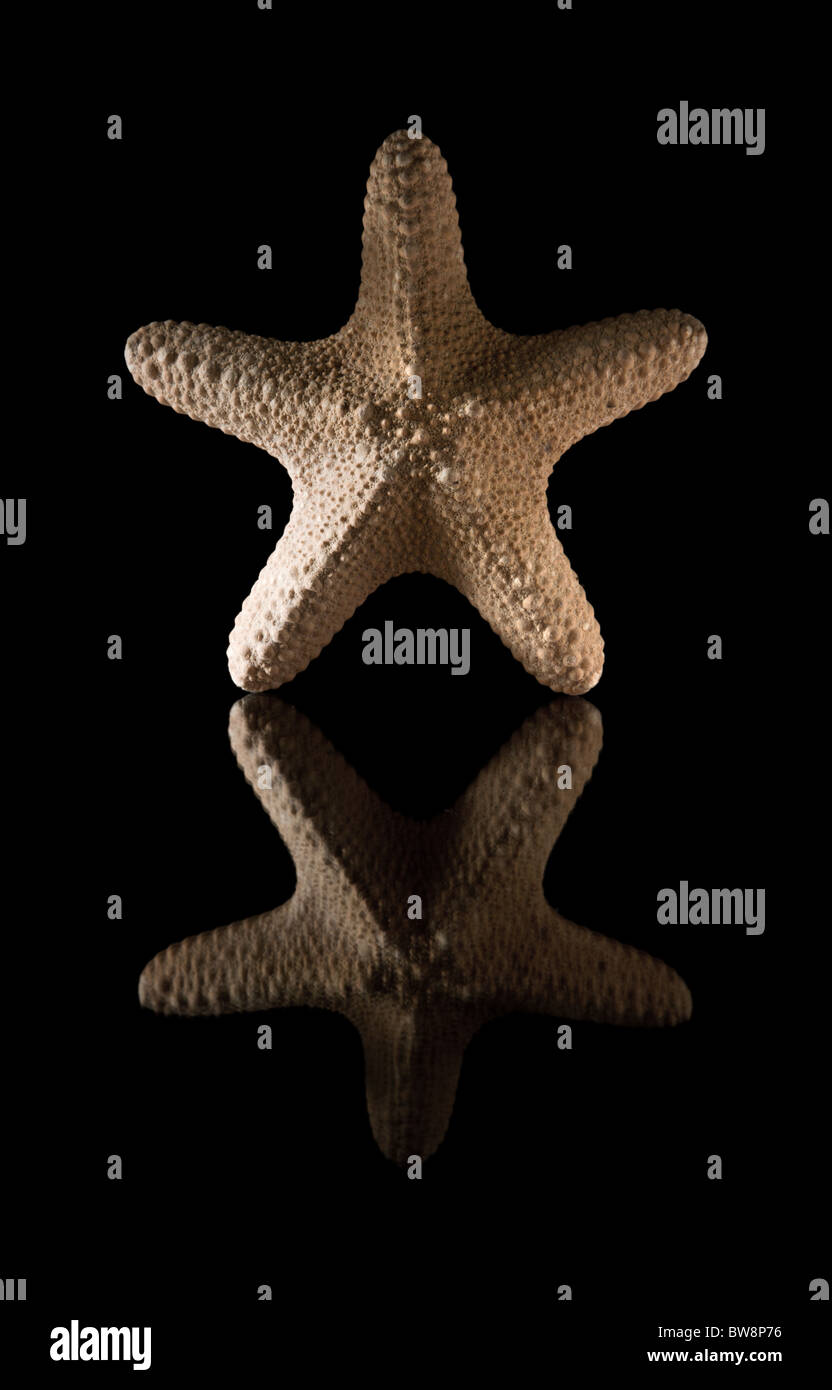 Mirror water Cut Out Stock Images & Pictures - Alamy