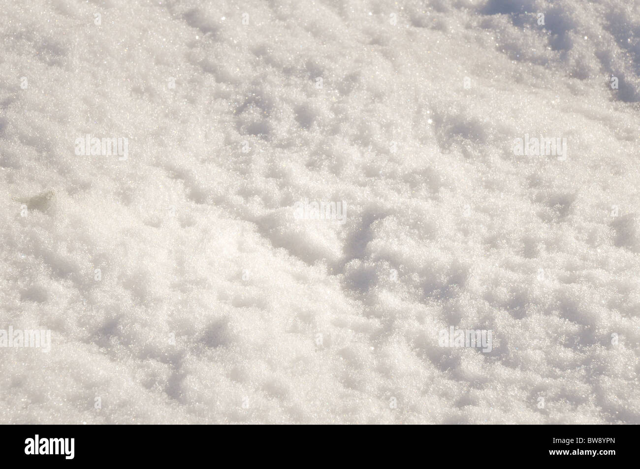 Fresh snow fallen hi-res stock photography and images - Alamy