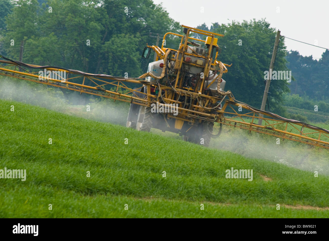 agricultural tractor spraying green field of crops Stock Photo - Alamy