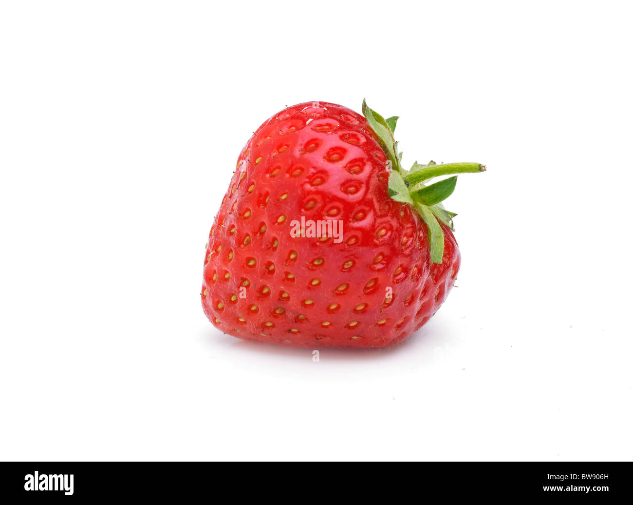 A single red Strawberry with stalk on clean white background with ...