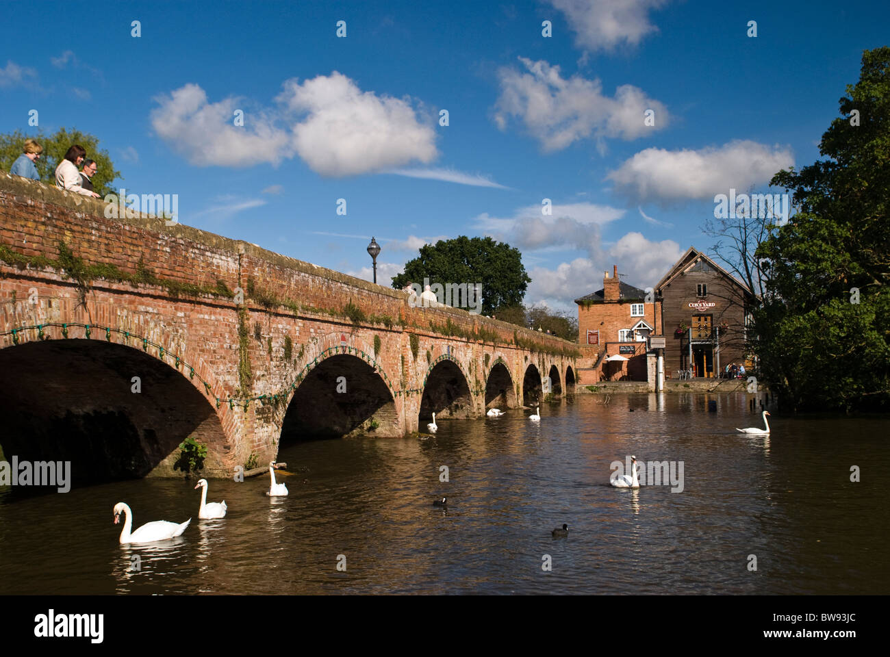 Cox s yard hi-res stock photography and images - Alamy