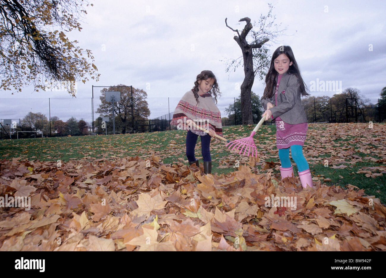 Two little girls in a park in Autumn raking leaves Stock Photo - Alamy