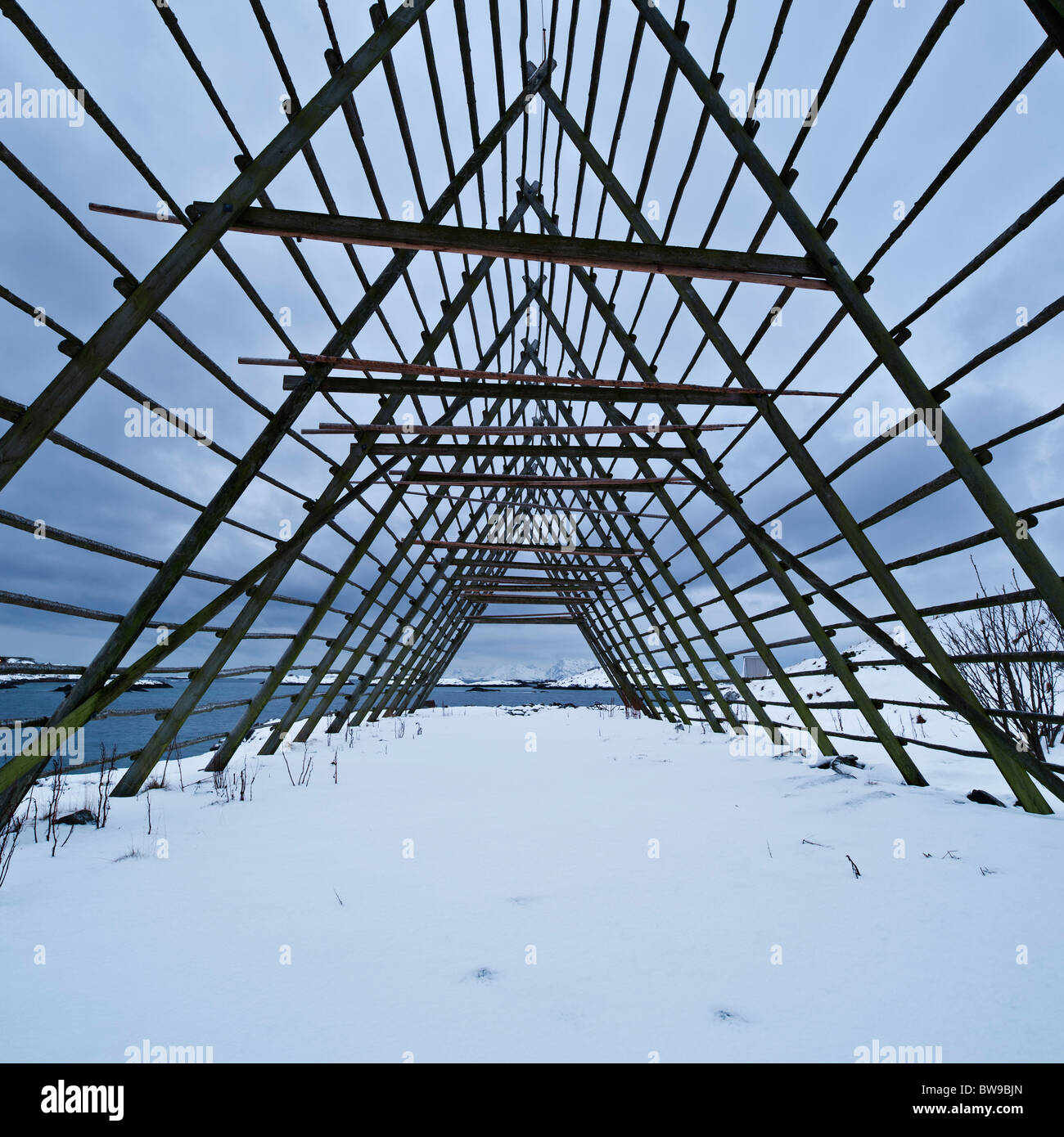 Empty cod drying racks in snow, Lofoten islands, Norway Stock Photo - Alamy