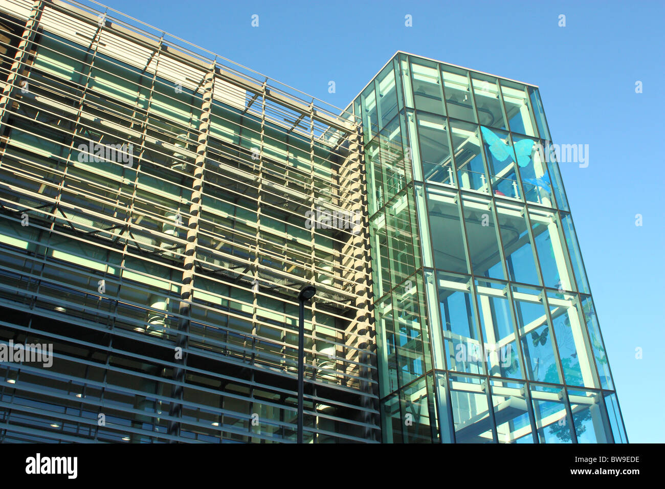 Modern Library Building