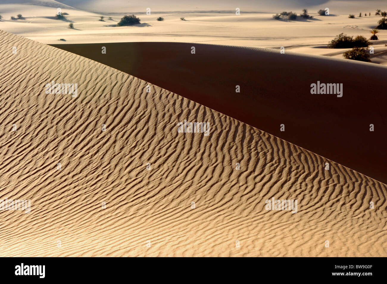 Sand structures, sand dunes in the Ubari Sand Sea, Sahara desert, Libya ...