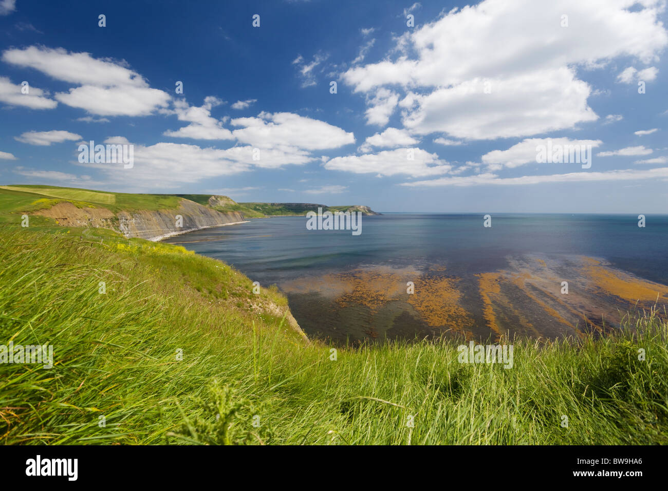 Kimmeridge Cliffs, Wareham, Dorset Stock Photo - Alamy