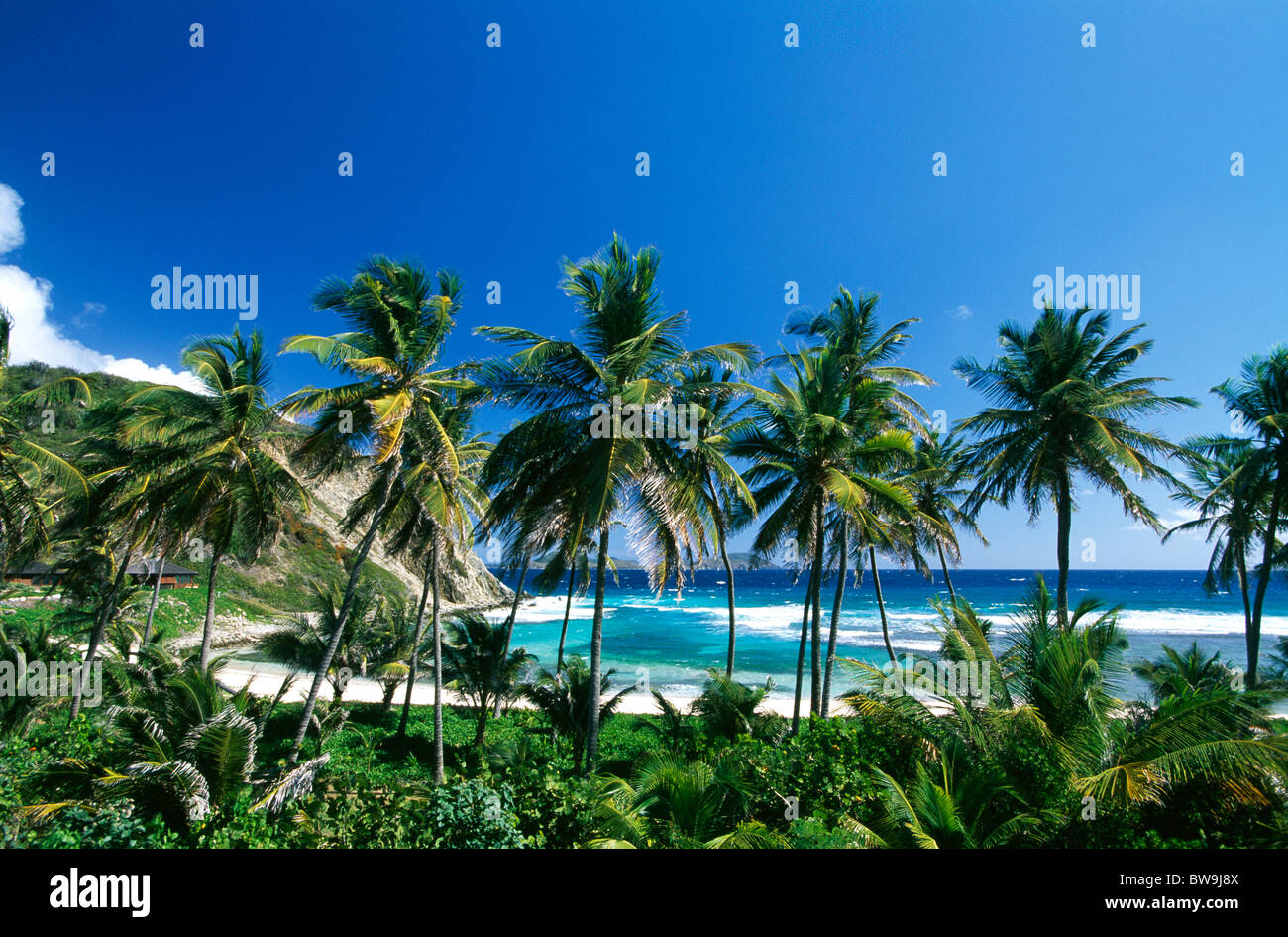 Beach on Peter Island, British Virgin Islands, Caribbean Stock Photo ...