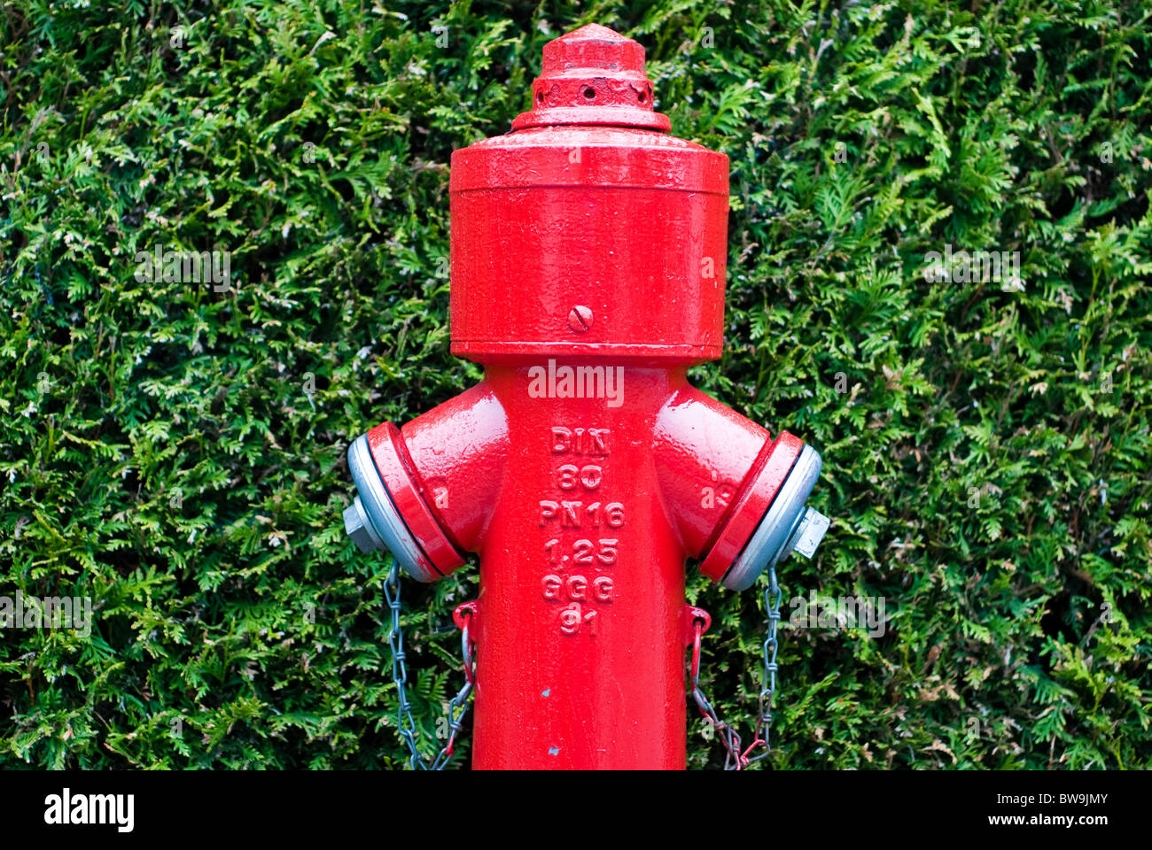 red fire hydrant in front of green hedge Stock Photo - Alamy