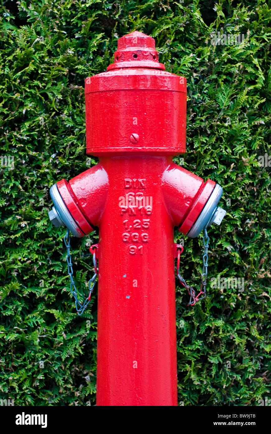 red fire hydrant in front of green hedge Stock Photo - Alamy