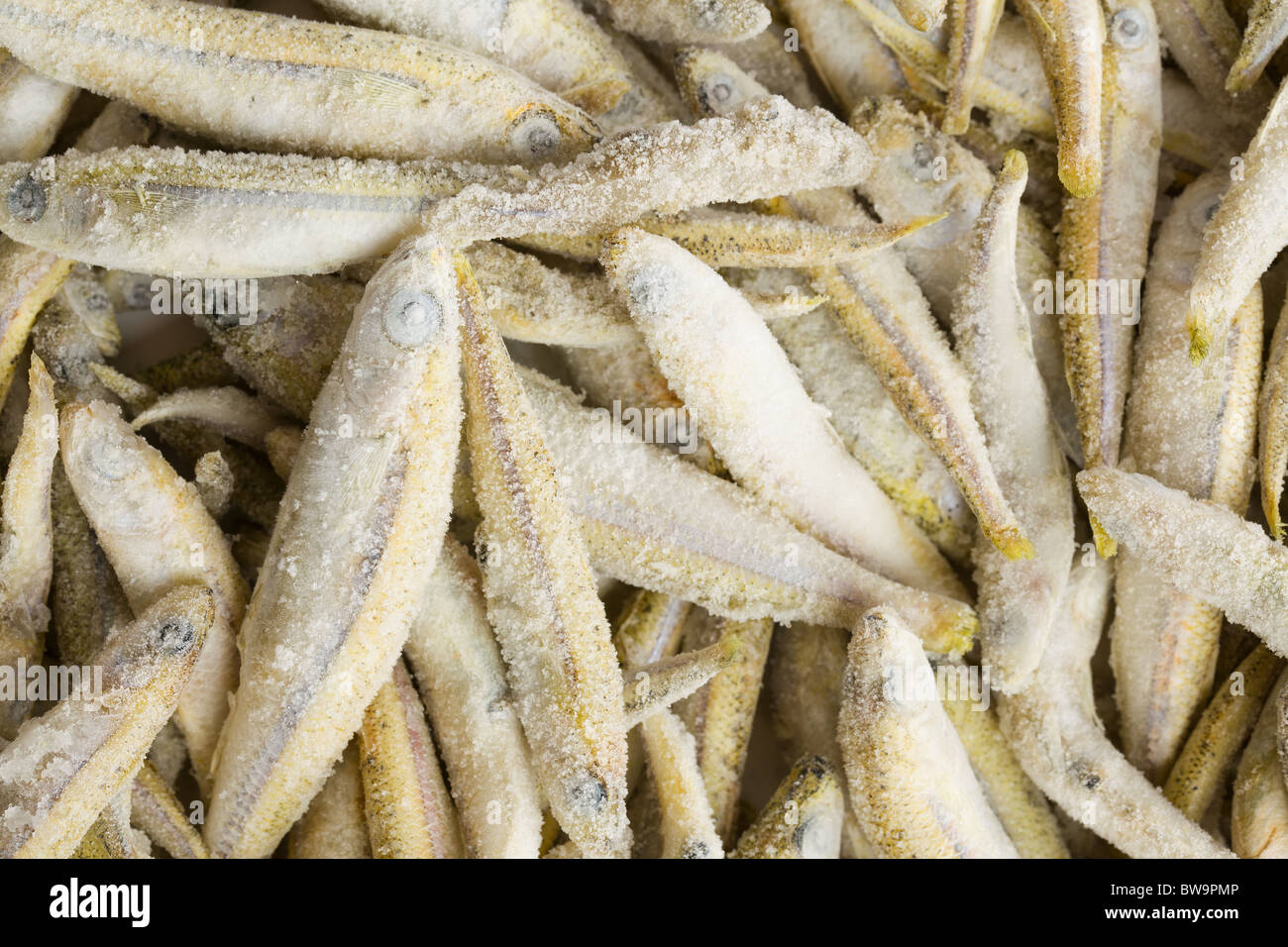photo shot of frozen anchovies background Stock Photo - Alamy