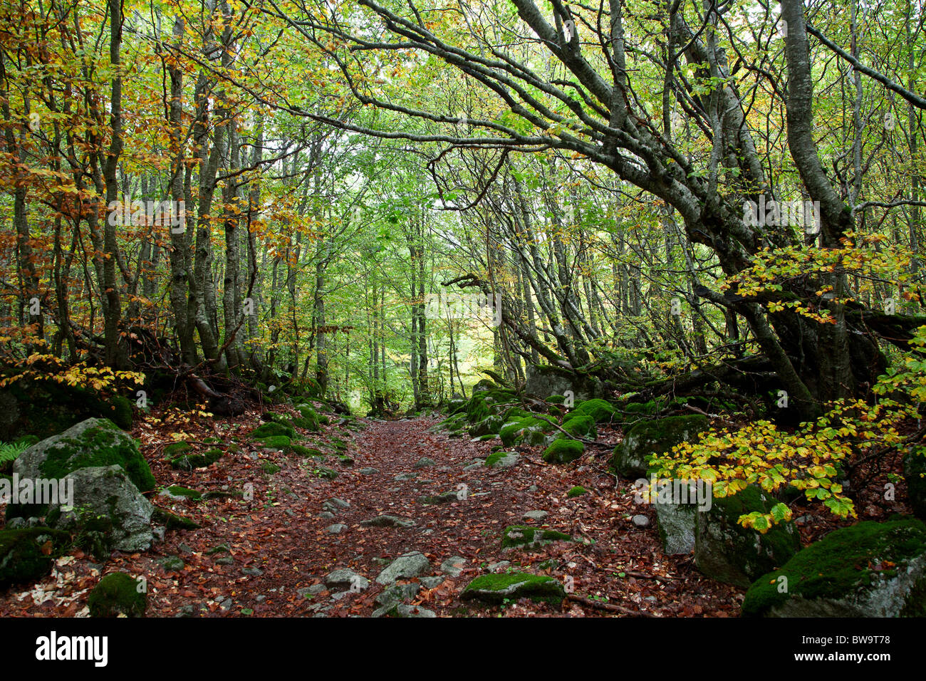 Colors of spain hi-res stock photography and images - Alamy