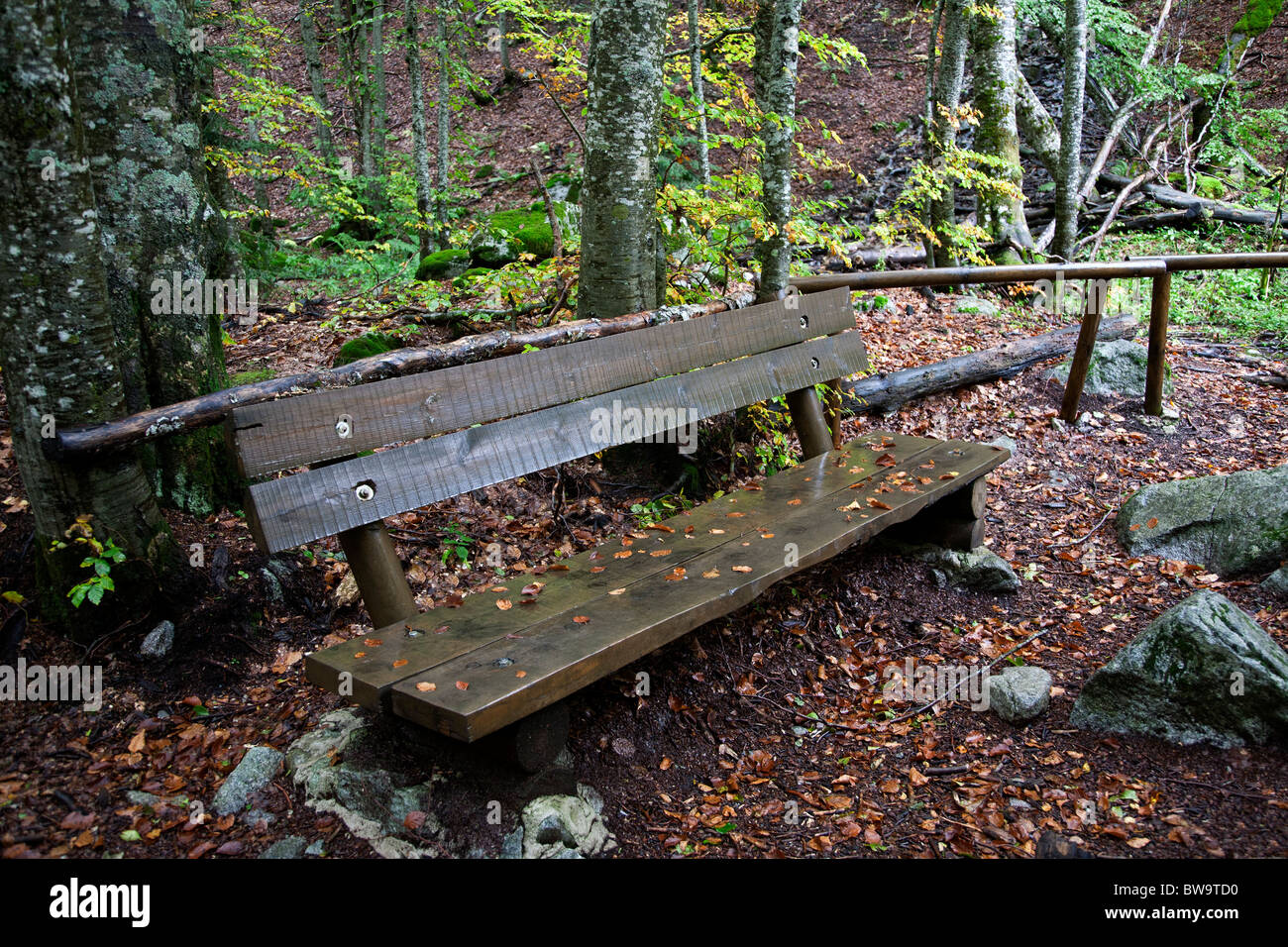 Bench in a forest. Pyrenees. Aragon. Spain Stock Photo - Alamy