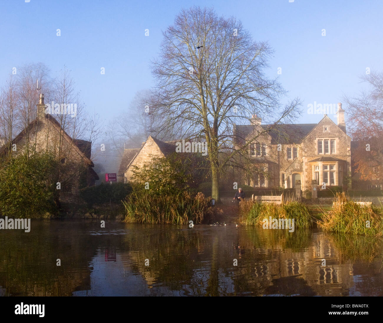 Duckpond hi-res stock photography and images - Alamy