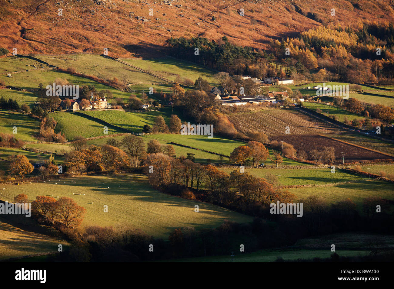 York dale hi-res stock photography and images - Alamy