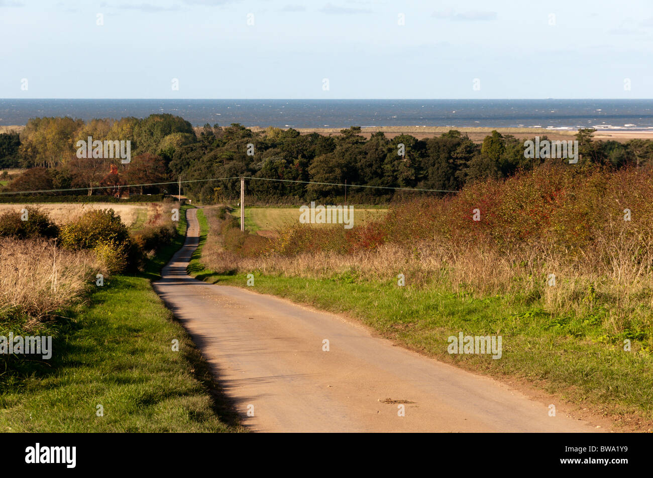 Typical country lane behind Thornham on the north Norfolk coast ...