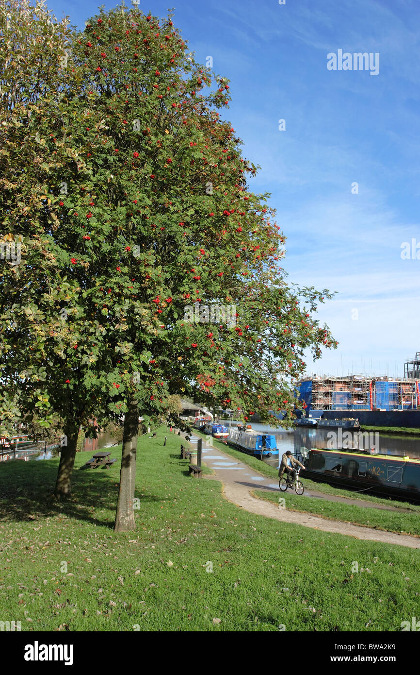 The Northgate canal basin in Chester Stock Photo - Alamy