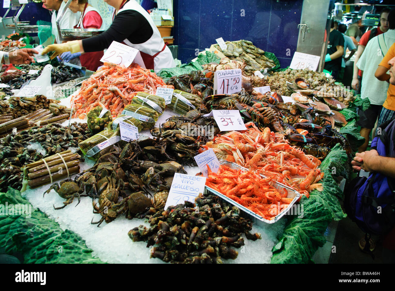 langoustines,lobsters,shrimps,prawns,goose barnacles,razor shells and ...