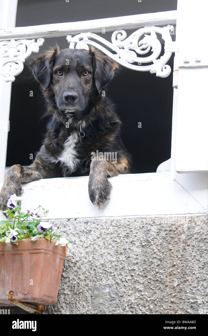 First floor window hi-res stock photography and images - Alamy