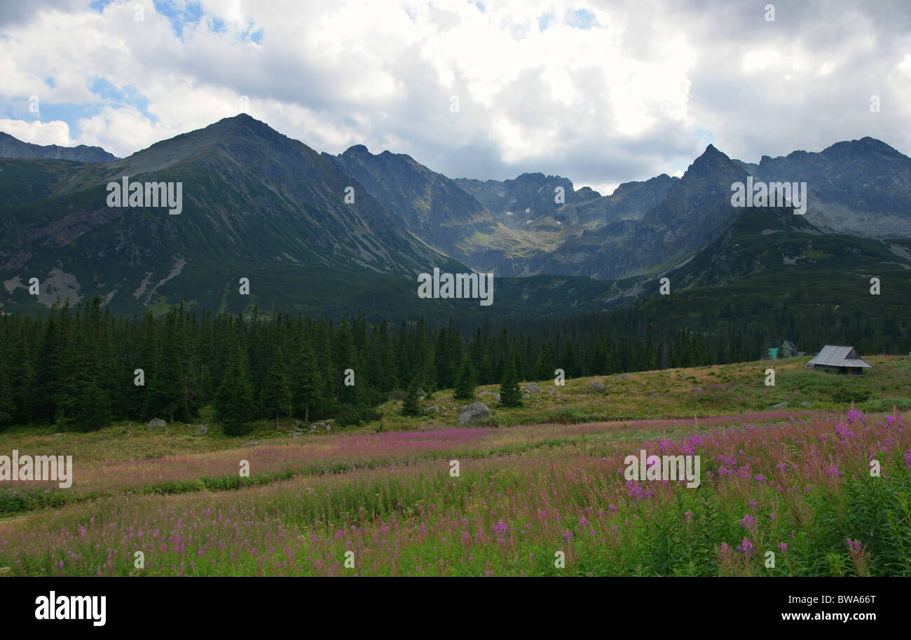Tatra mount hi-res stock photography and images - Alamy