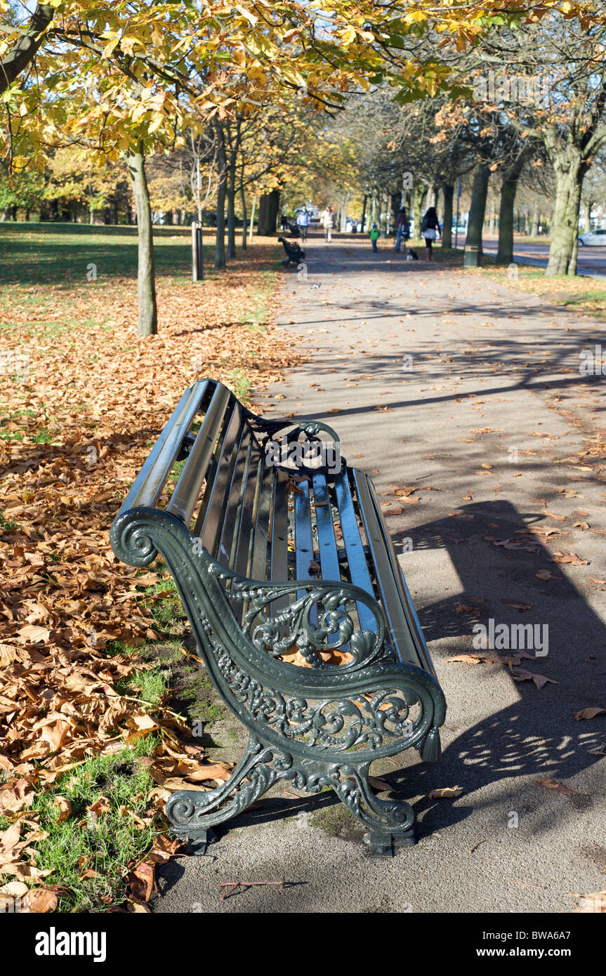 Bench in park london hi-res stock photography and images - Alamy