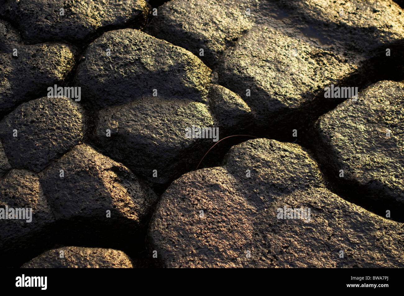 Black lava rocks Hawaii Stock Photo - Alamy