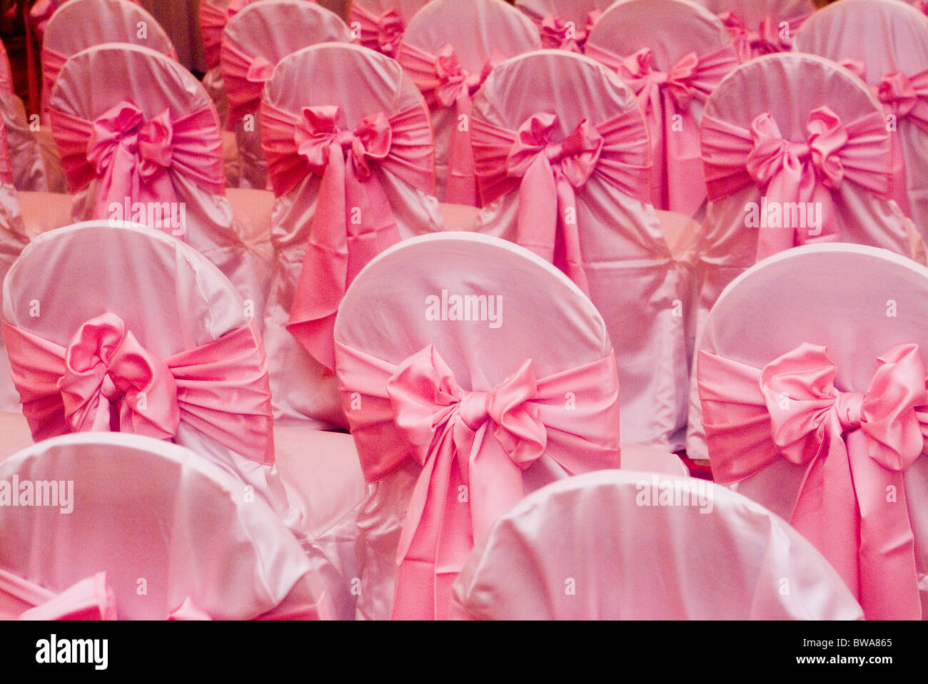 Decorated wedding chairs in reception auditorium Stock Photo - Alamy
