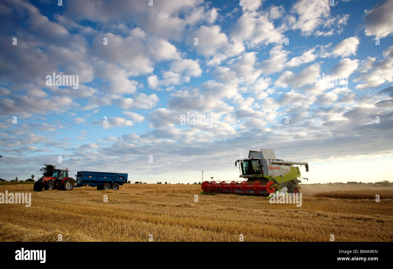 Combine harvester combining barley in hi-res stock photography and ...
