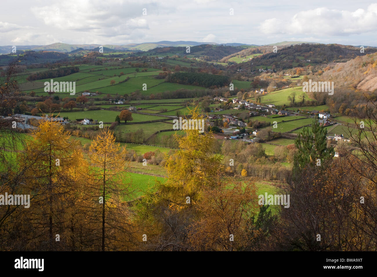 Llynclys Common Shropshire Wildlife Trust Nature Reserve, on the ...