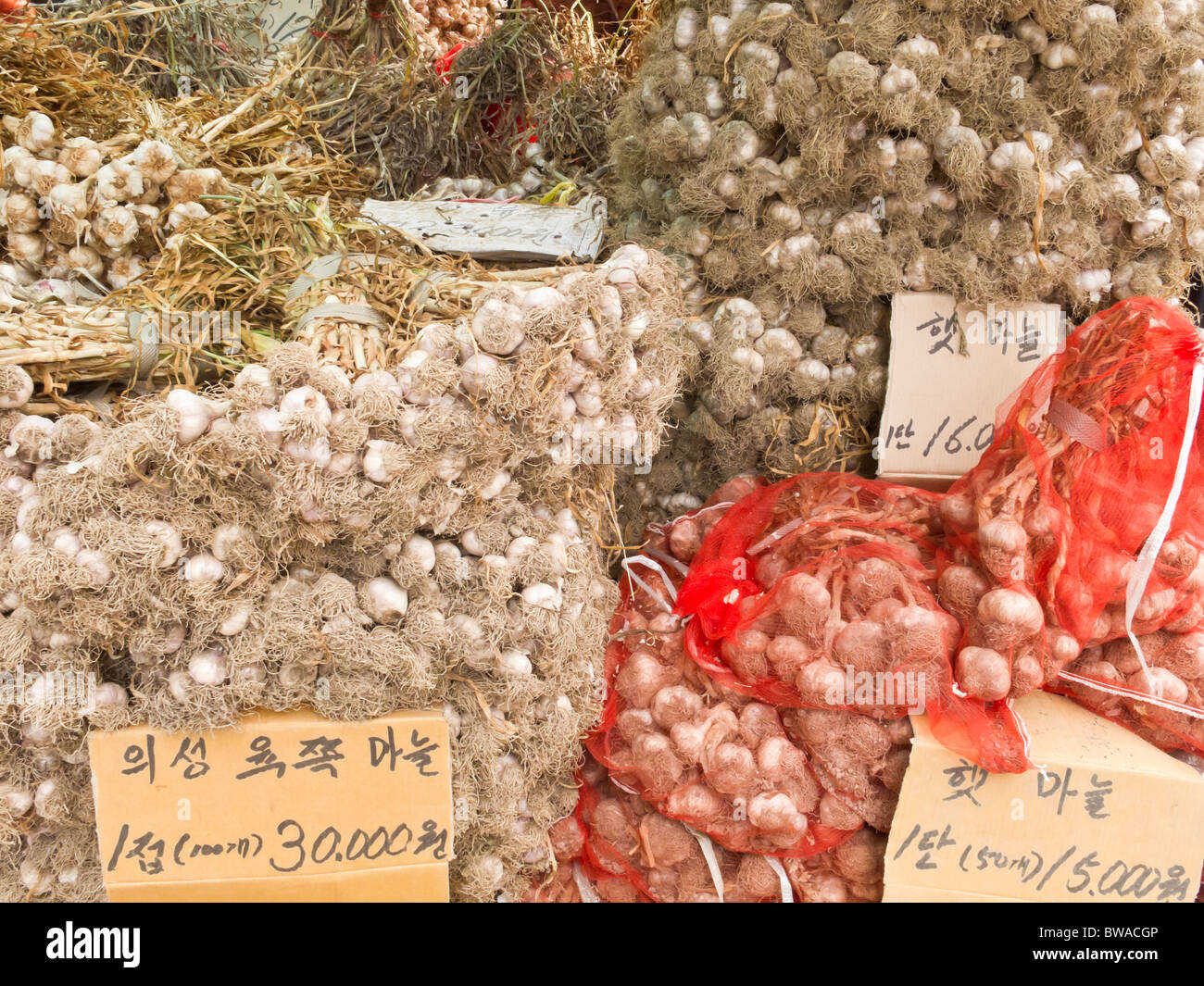 Gyeongdong market hi-res stock photography and images - Alamy