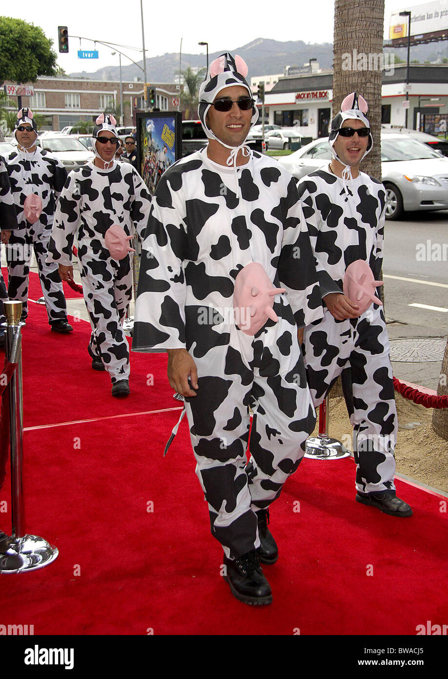 THE BARNYARD Premiere Stock Photo - Alamy