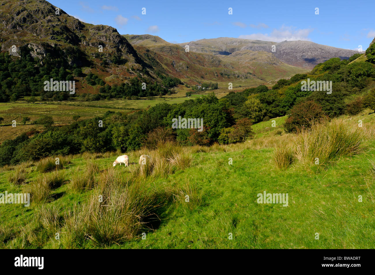 View of Gallt y Wenallt in Snowdonia National Park Gwynedd North Wales ...