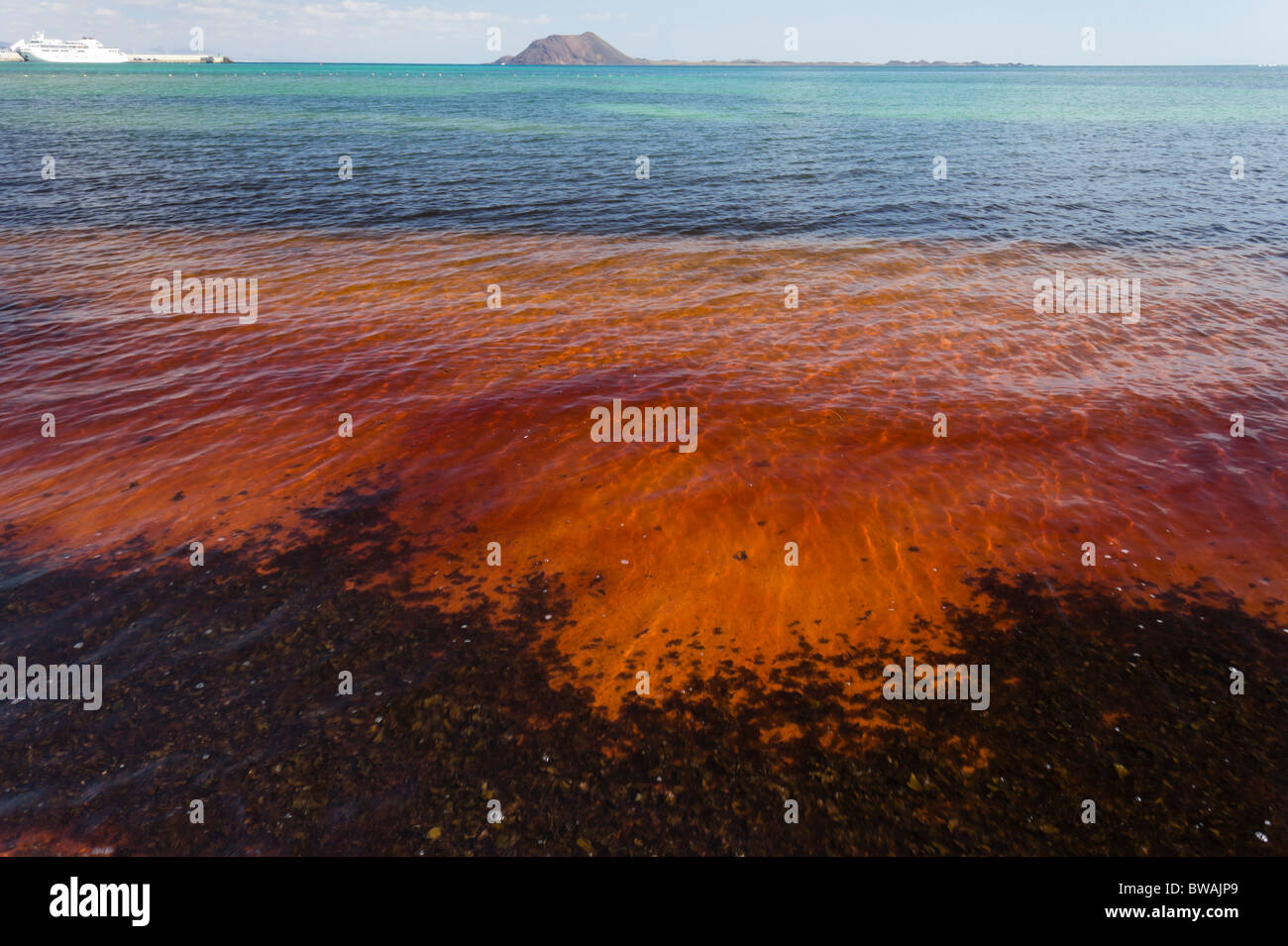 Fuerteventura, Canary Islands - Corralejo bay, Waikiki beach, red ...