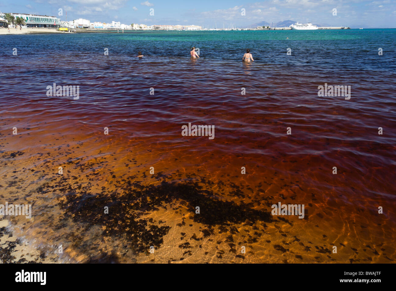 Fuerteventura, Canary Islands - Corralejo bay, Waikiki beach, red ...