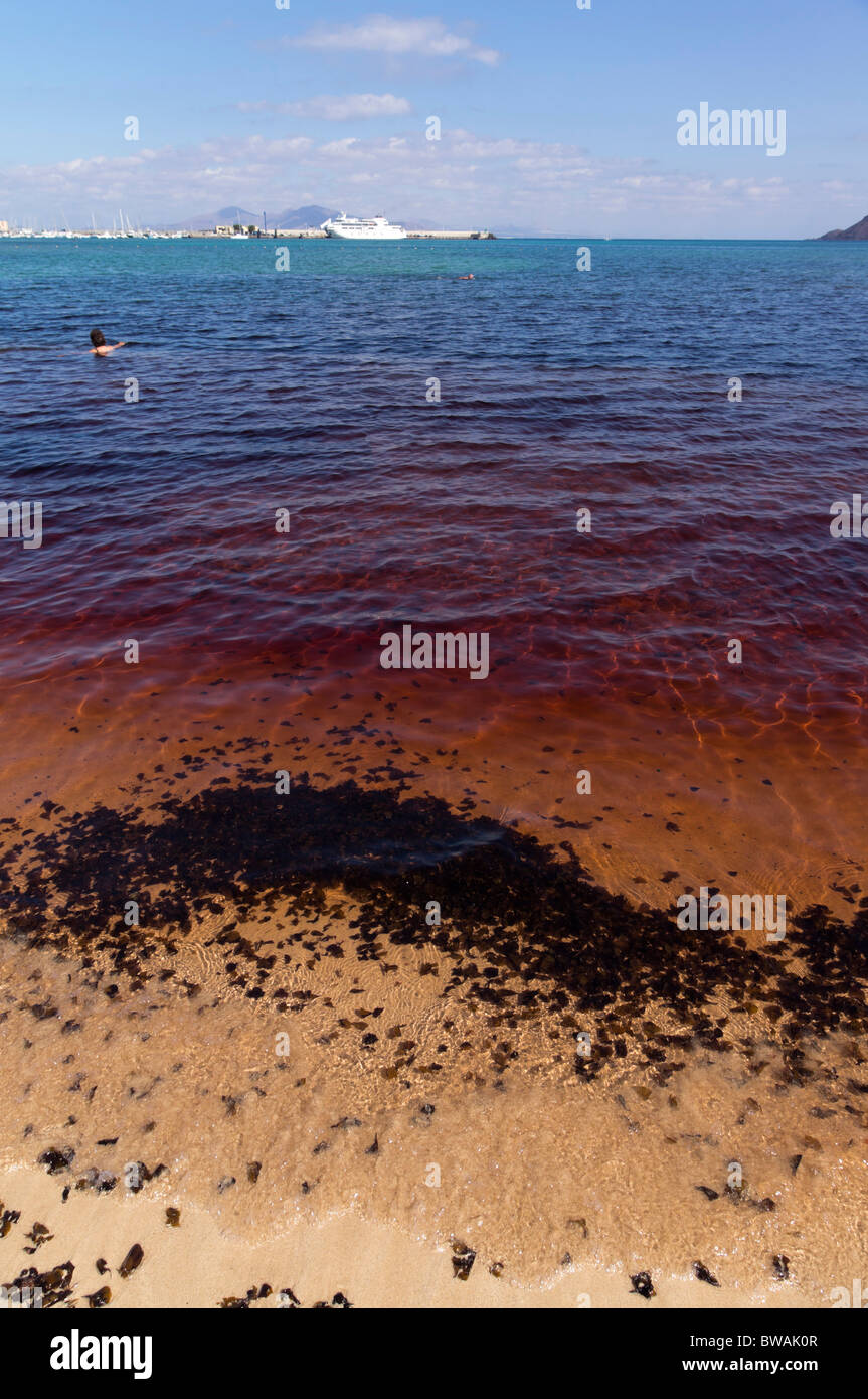 Fuerteventura, Canary Islands - Corralejo bay, Waikiki beach, red ...