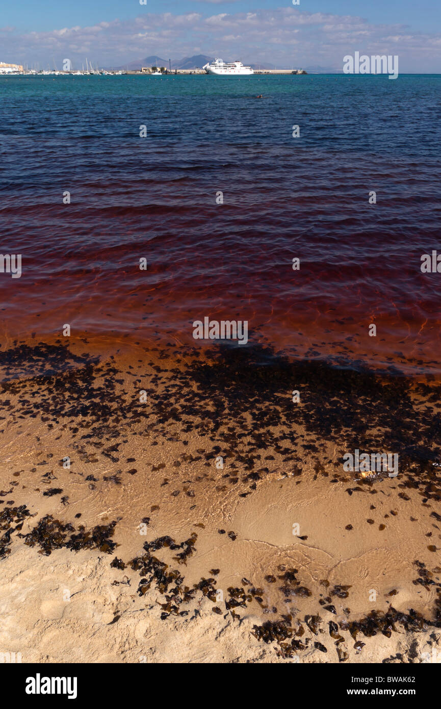 Fuerteventura, Canary Islands - Corralejo bay, Waikiki beach, red ...