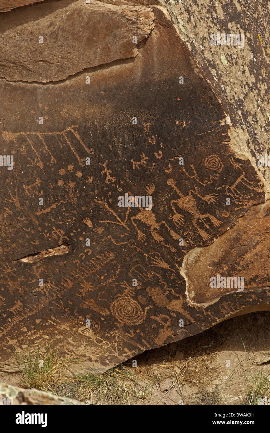 Newspaper Rock Petroglyphs - Petrified Forest National Park - Arizona ...