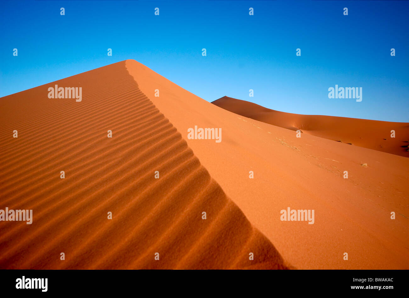 Saharan dune hi-res stock photography and images - Alamy