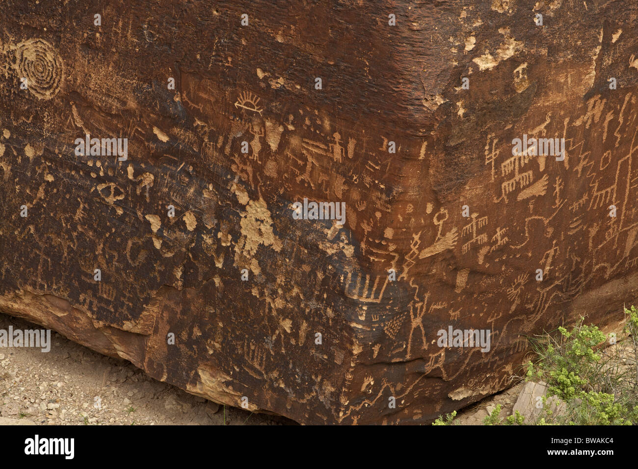 Newspaper Rock Petroglyphs - Petrified Forest National Park - Arizona ...