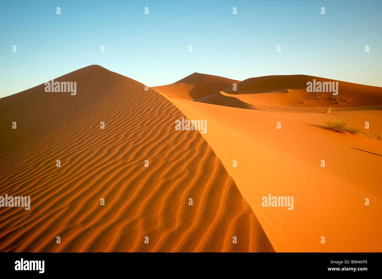 Saharan desert at Erg Chebbi, Morocco Stock Photo - Alamy