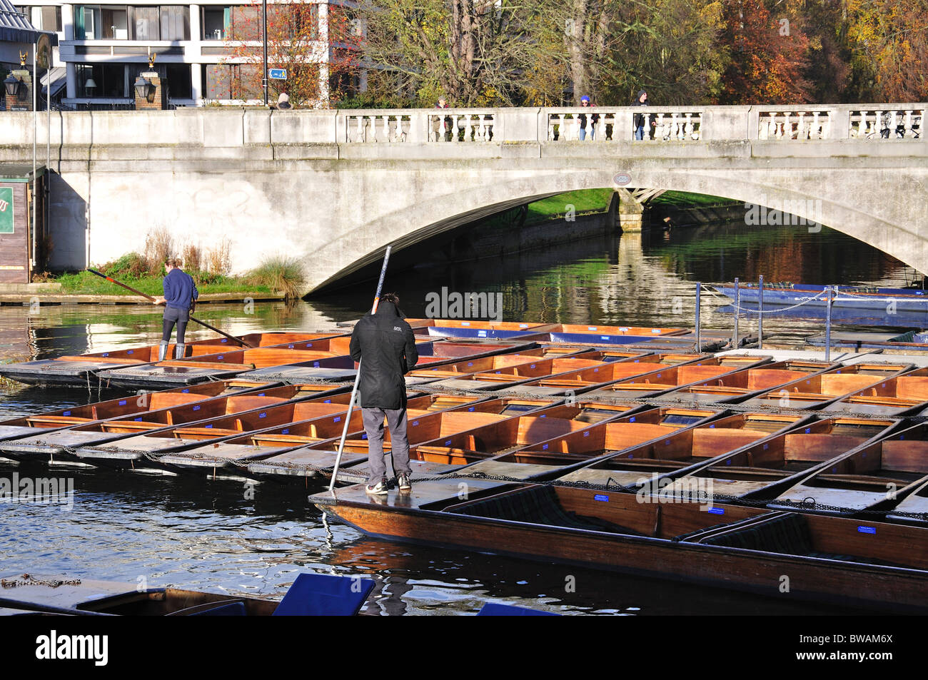 Punts on River Cam, Cambridge, Cambridgeshire, England, United Kingdom ...