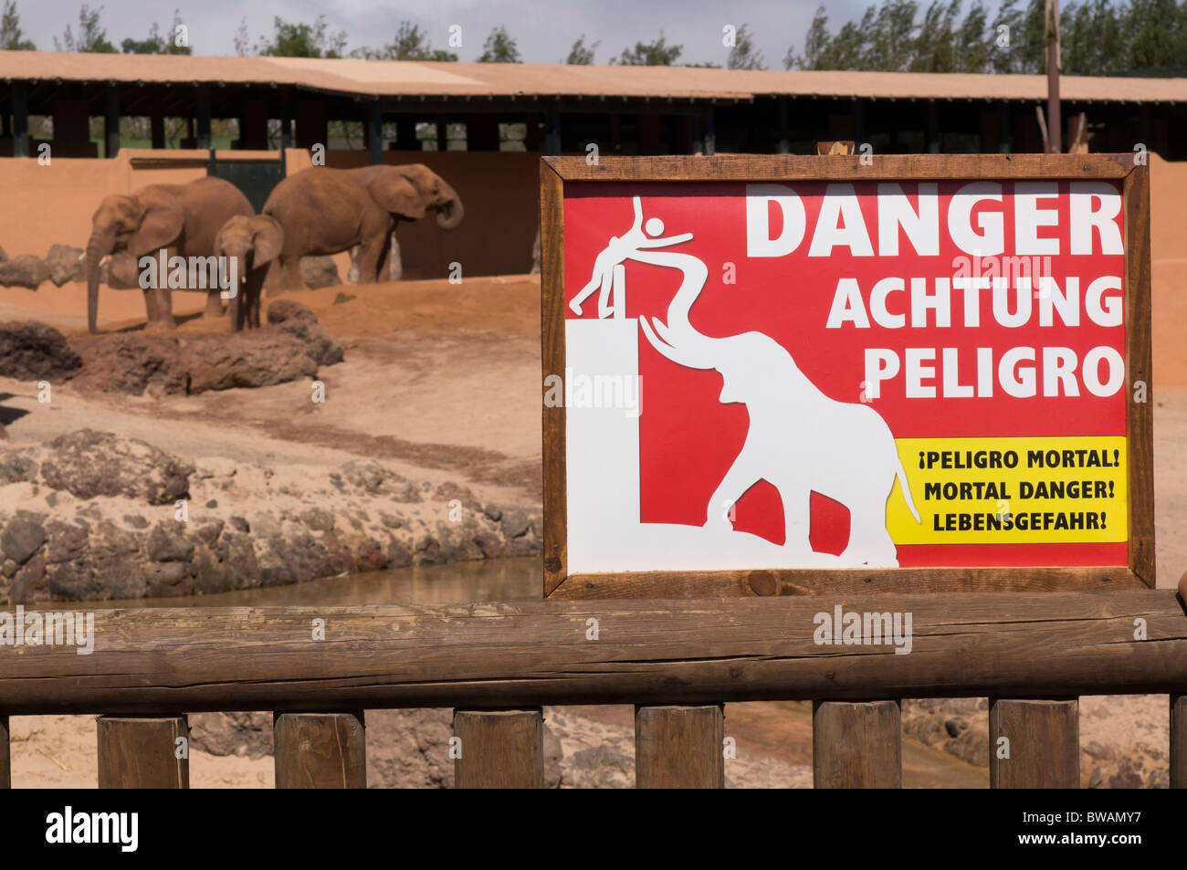Elephant danger hi-res stock photography and images - Alamy