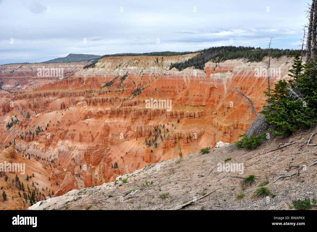 Cedar Breaks National Monument Stock Photo - Alamy
